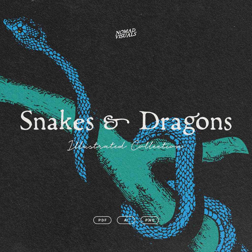 Snakes & Dragons by Nomad Visuals