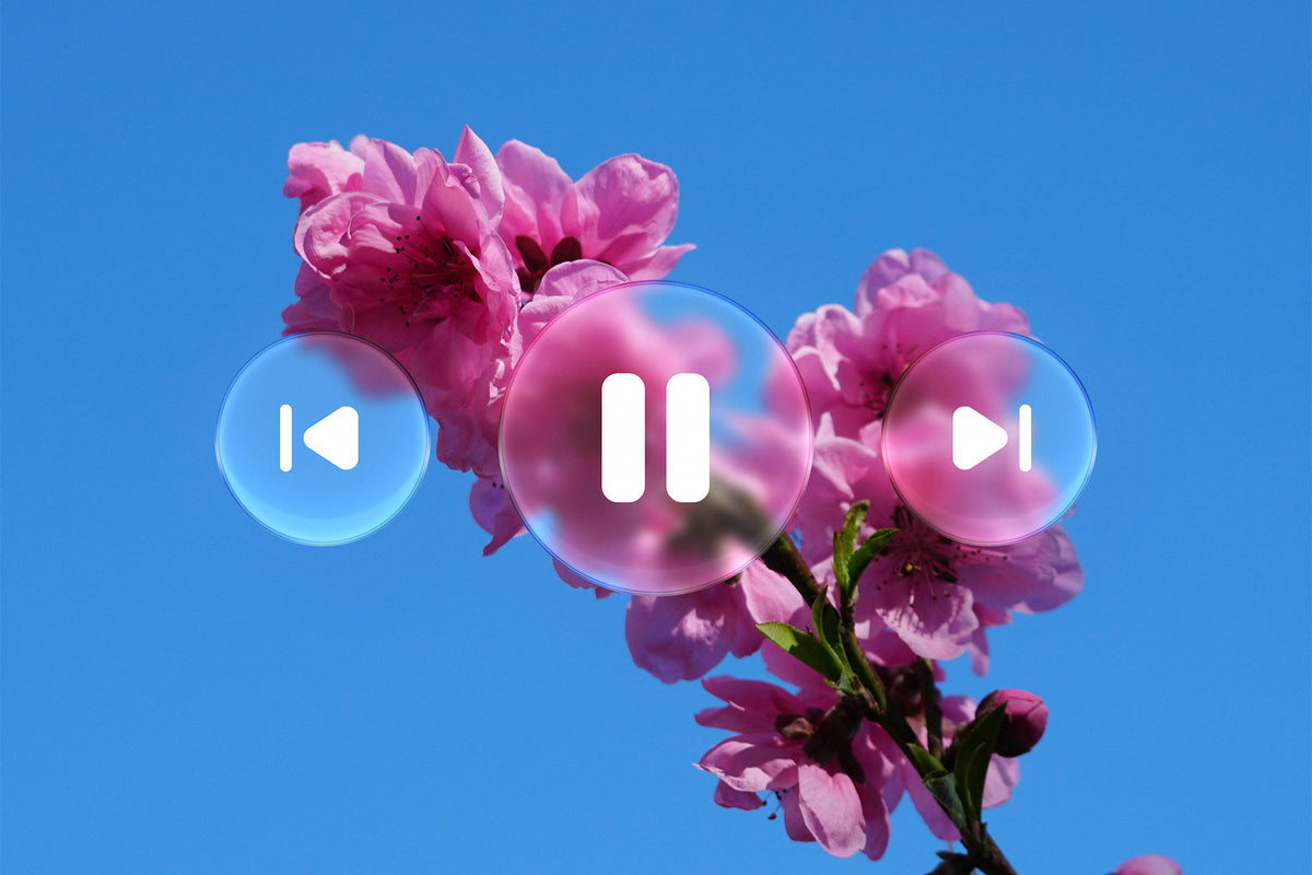 Liquid Glass Overlay Effect by Divided.co