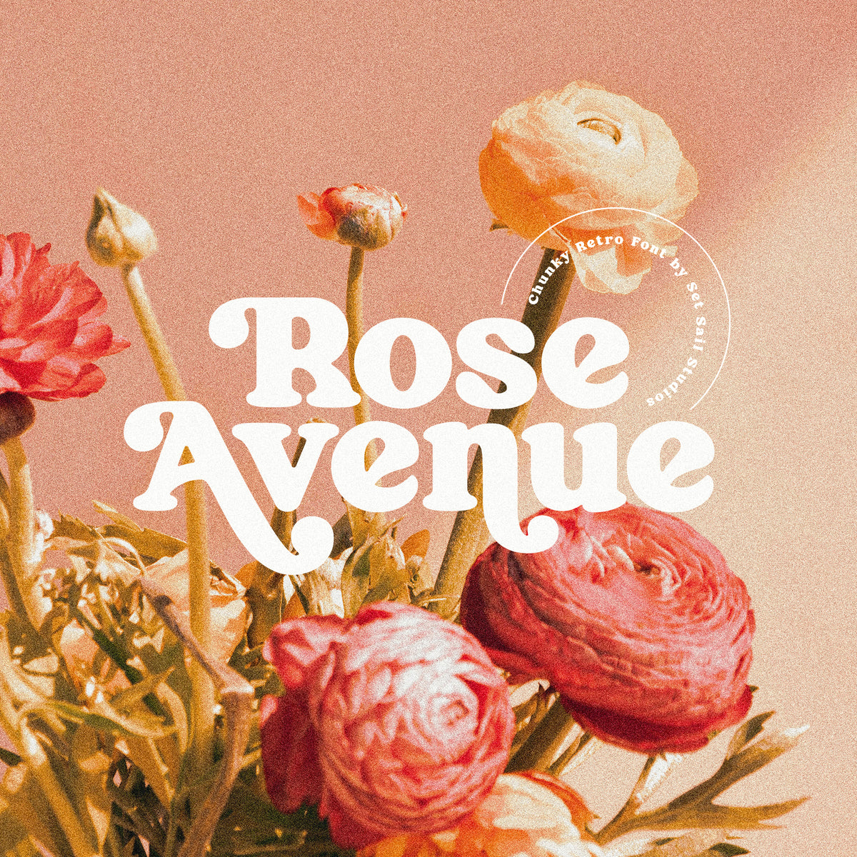 Rose Avenue Font by Set Sail Studios