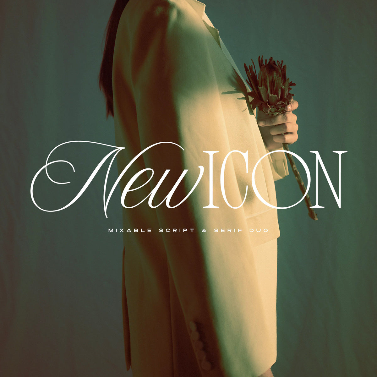 new icon script font