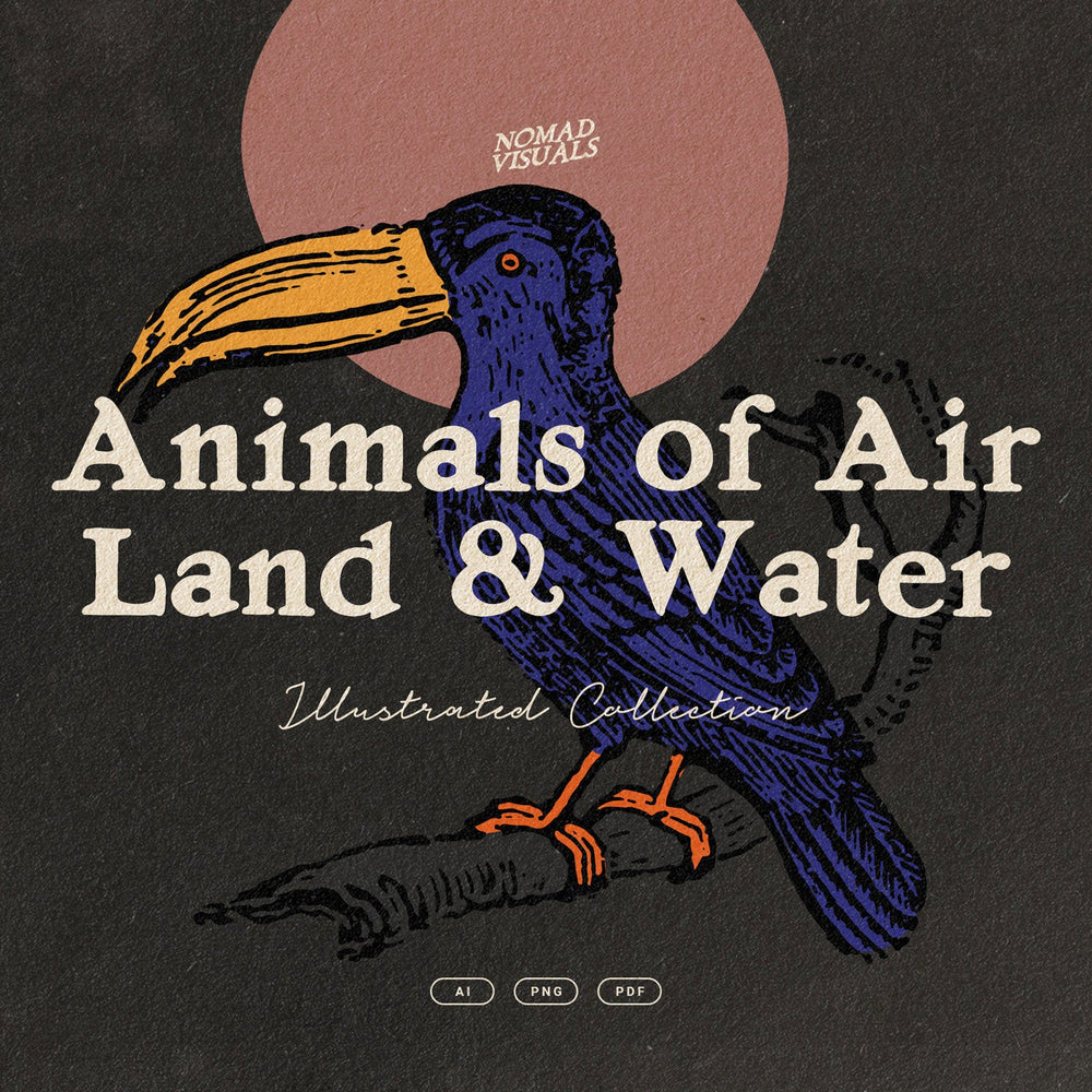 Animals of Air Land & Water by Nomad Visuals