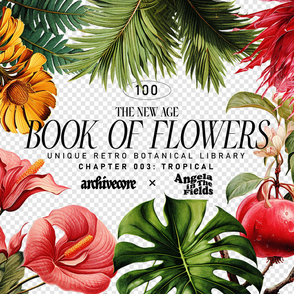BOOK OF FLOWERS 3 Tropical by angelainthefields