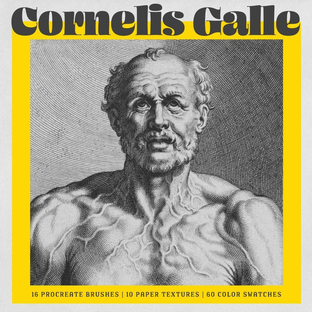 Cornelis Galle Procreate Kit by Digi Life