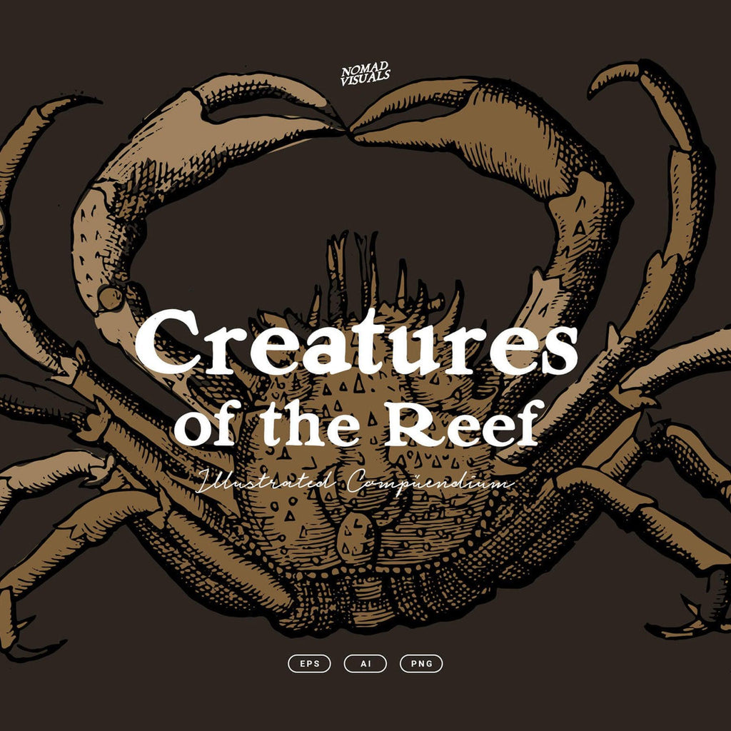 Creatures of the Reef by Nomad Visuals