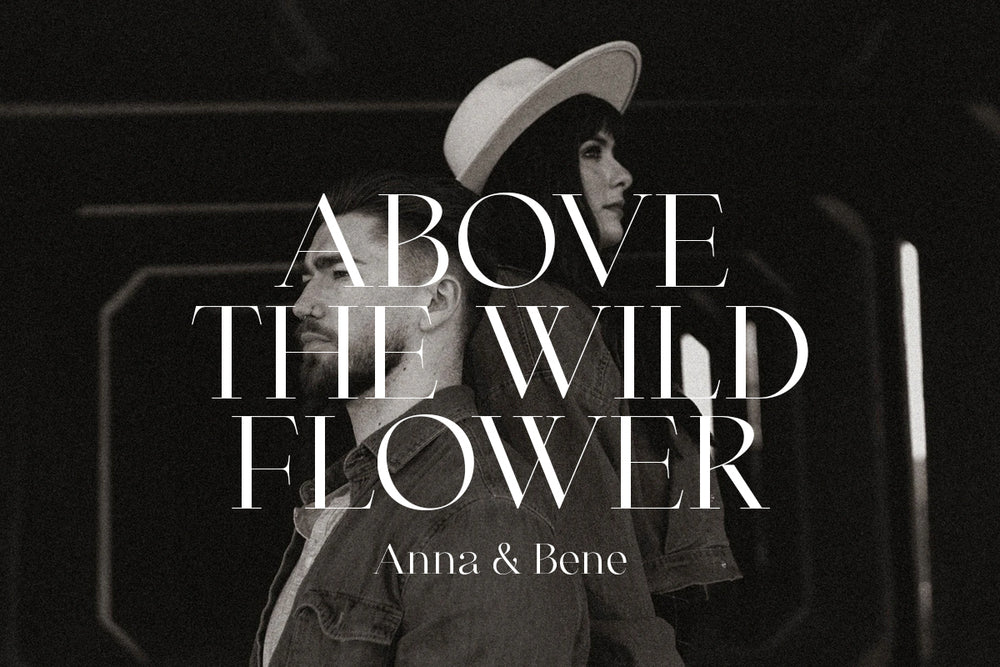 Diamond Bridge - Classy Serif by Sarid Ezra