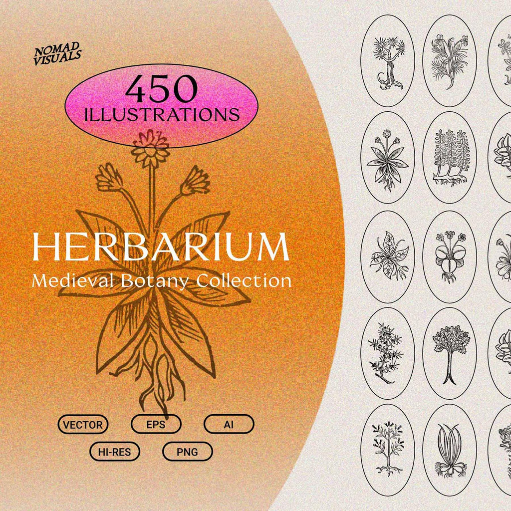 Herbarium Medieval Botany Collection by Nomad Visuals