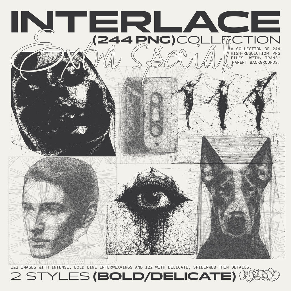 Interlace. 244 Spiderweb Graphics by Softulka