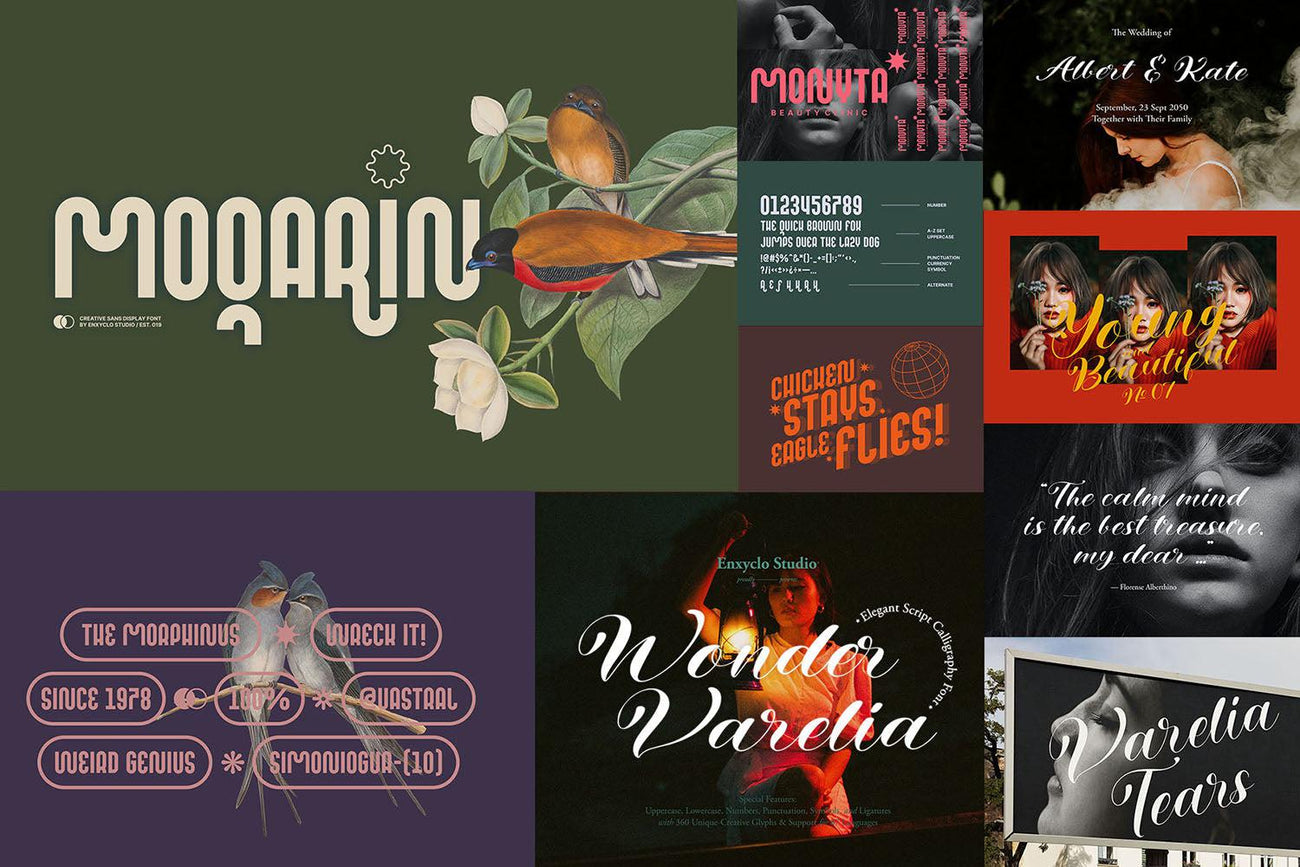 Modern Font Mega Bundle (Vol.01) by Enxyclo Studio