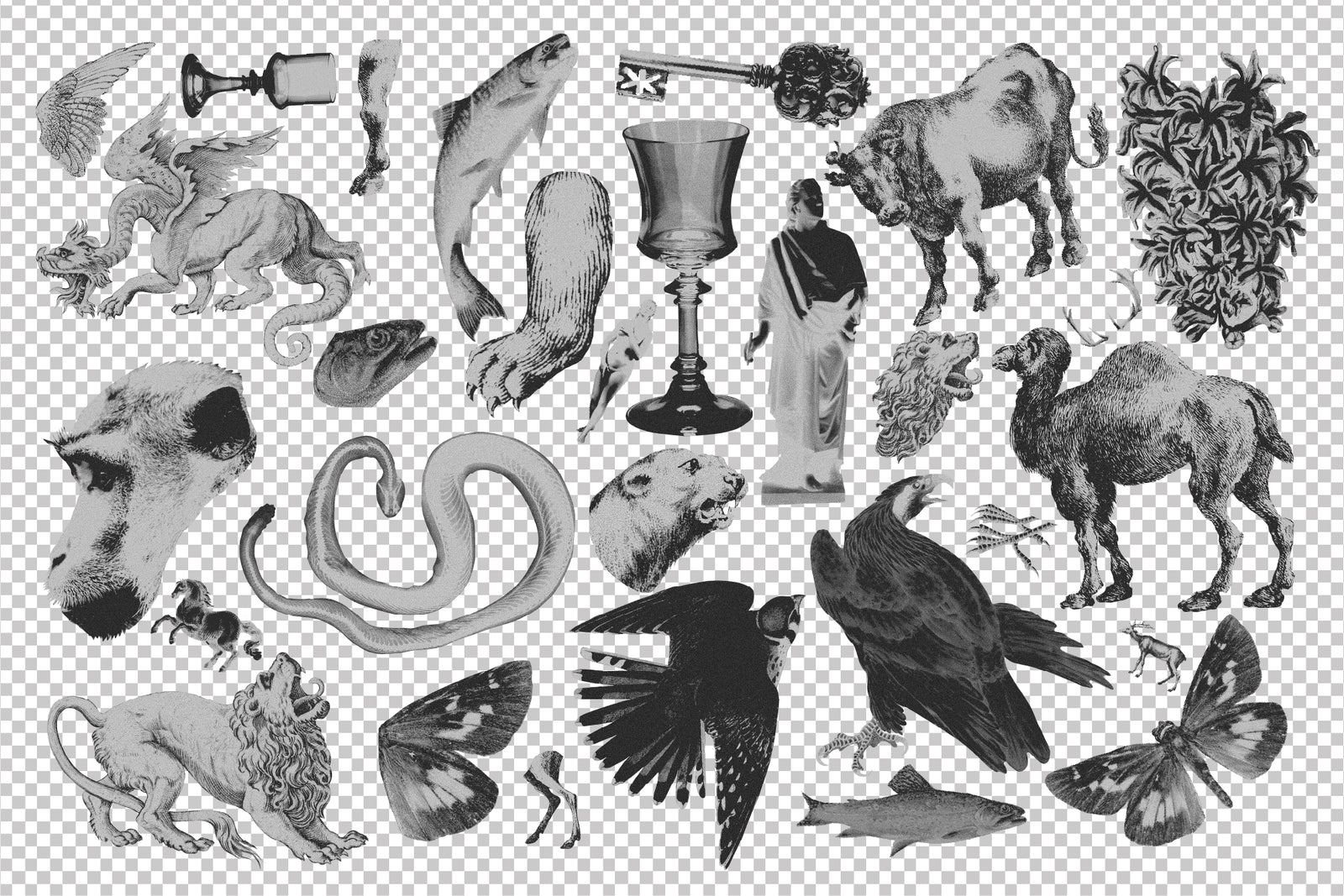 MONSTERVERSE Collage Set by angelainthefields