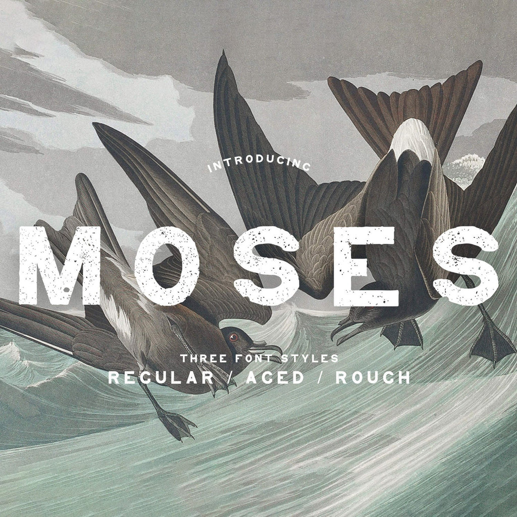 Moses Display Grotesque Typeface by Nomad Visuals