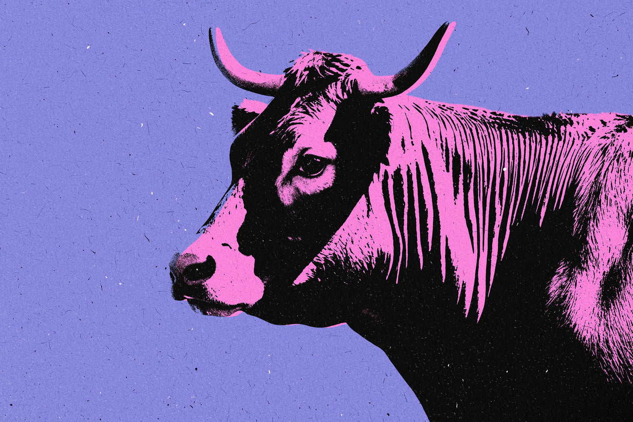 Pop Art Cartoons Photo Effect by Pixelbuddha