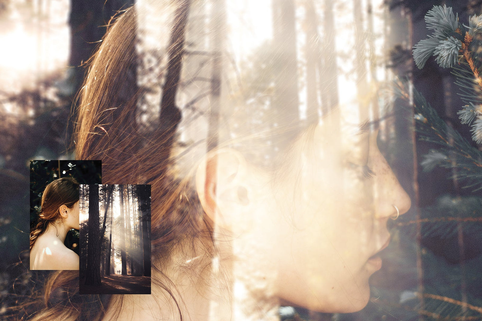 Reflex by Studio 2am