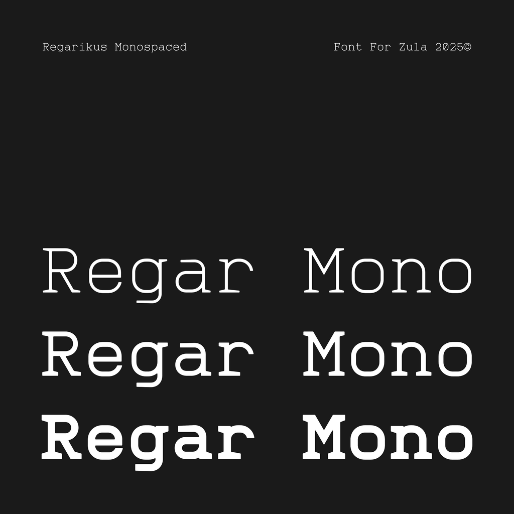 REGAR MONOSPACED TYPEFACE FAMILY by Font For Zula™
