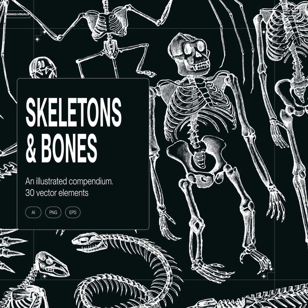 Skeletons & Bones by Nomad Visuals