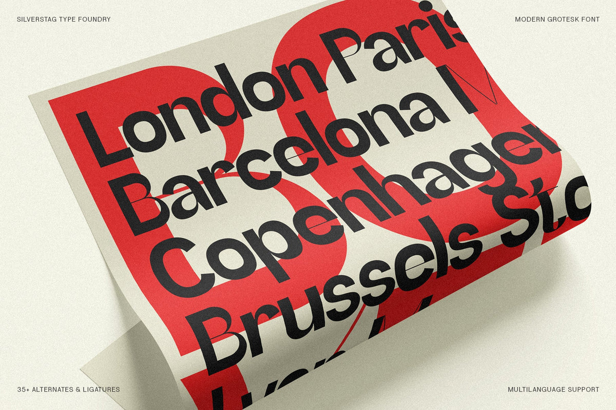 SLTF Refugio - Modern Grotesk Font by SilverStag Type Foundry