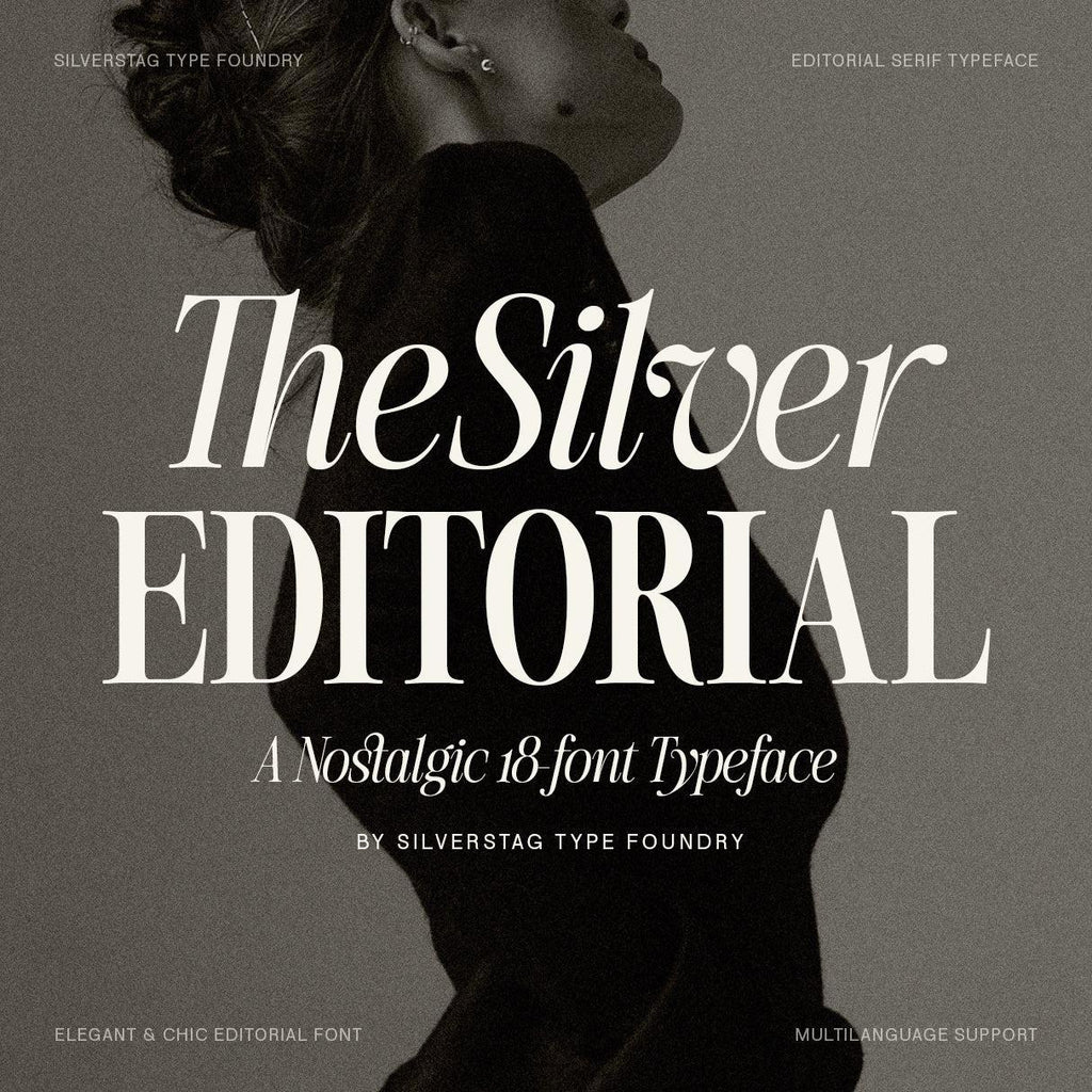 SLTF The Silver Editorial – A Nostalgic 18-Font Serif Typeface by ...