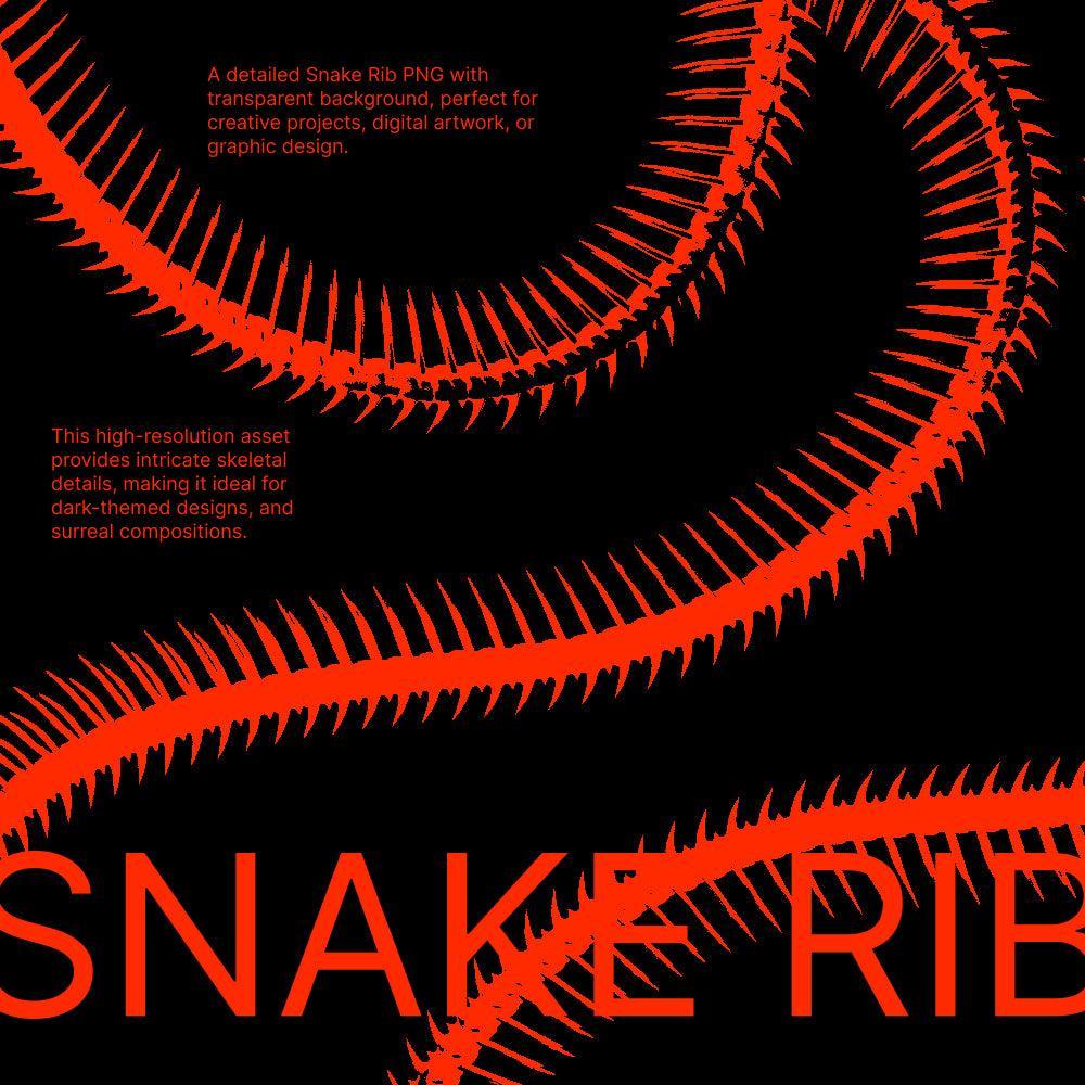 Snake Rib by Afterimagine