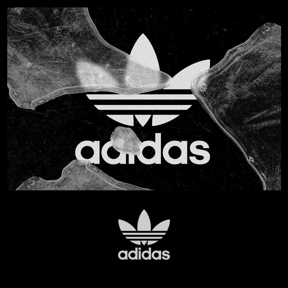 The Fridge - Text and Logo Effects by Studio Dusk