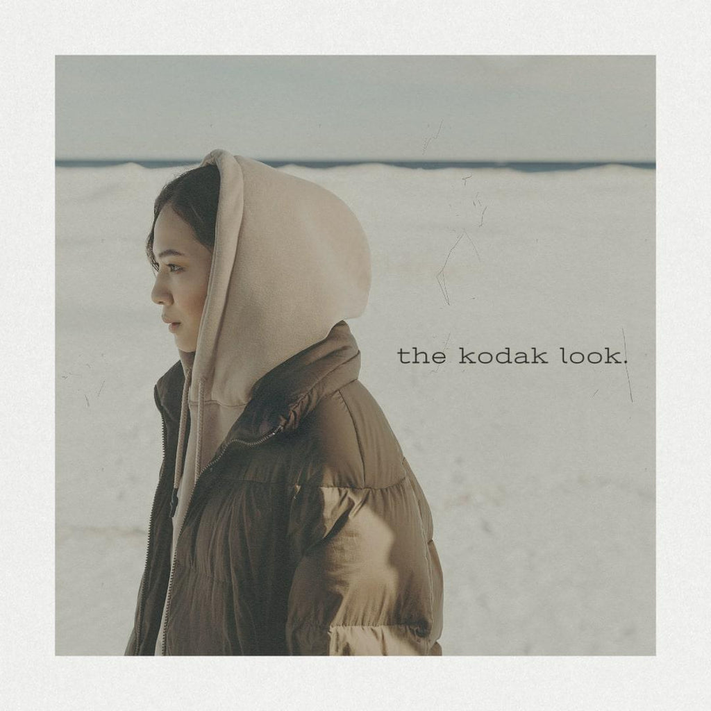 The Kodak Look Procreate Brushes by Digi Life