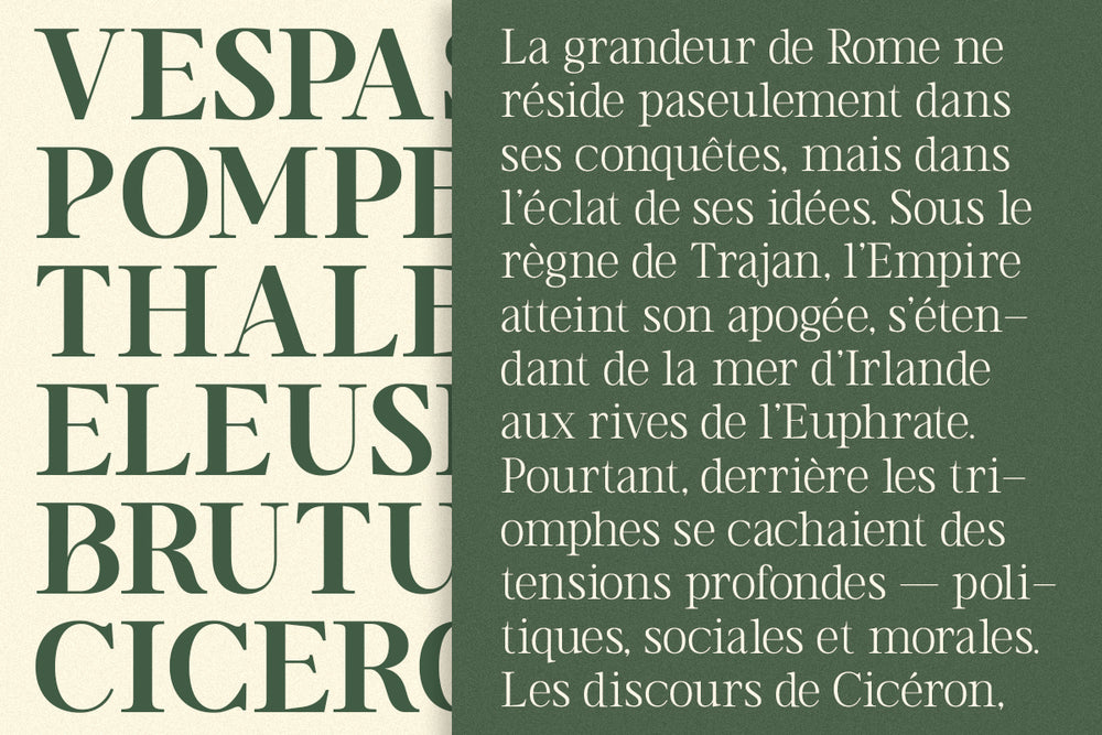 TRT Vermolin — Modern Classy Serif Typeface by True Type Lab